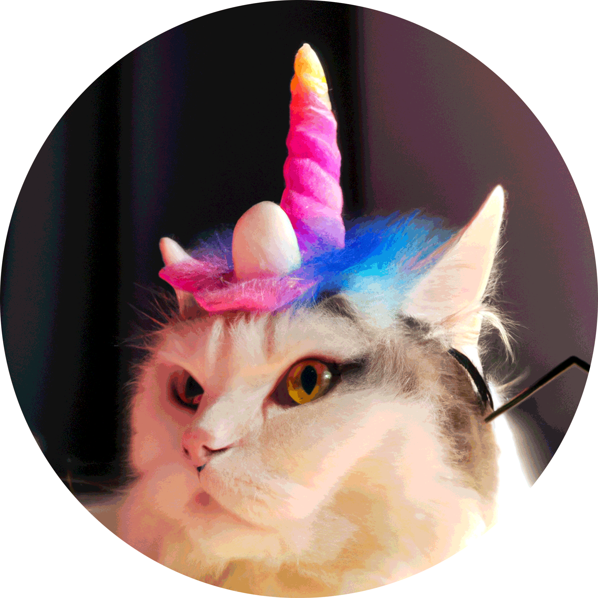 Team: Die Menschen dahinter