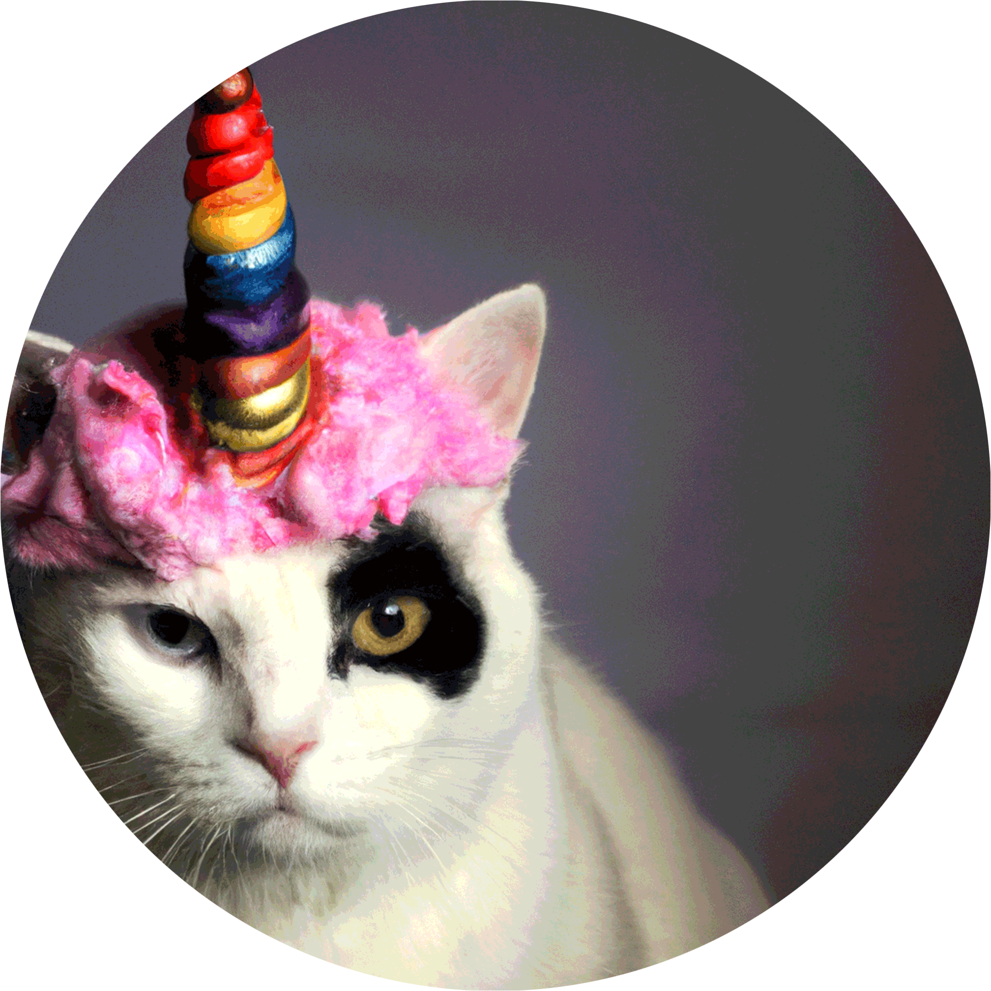 Team: Die Menschen dahinter